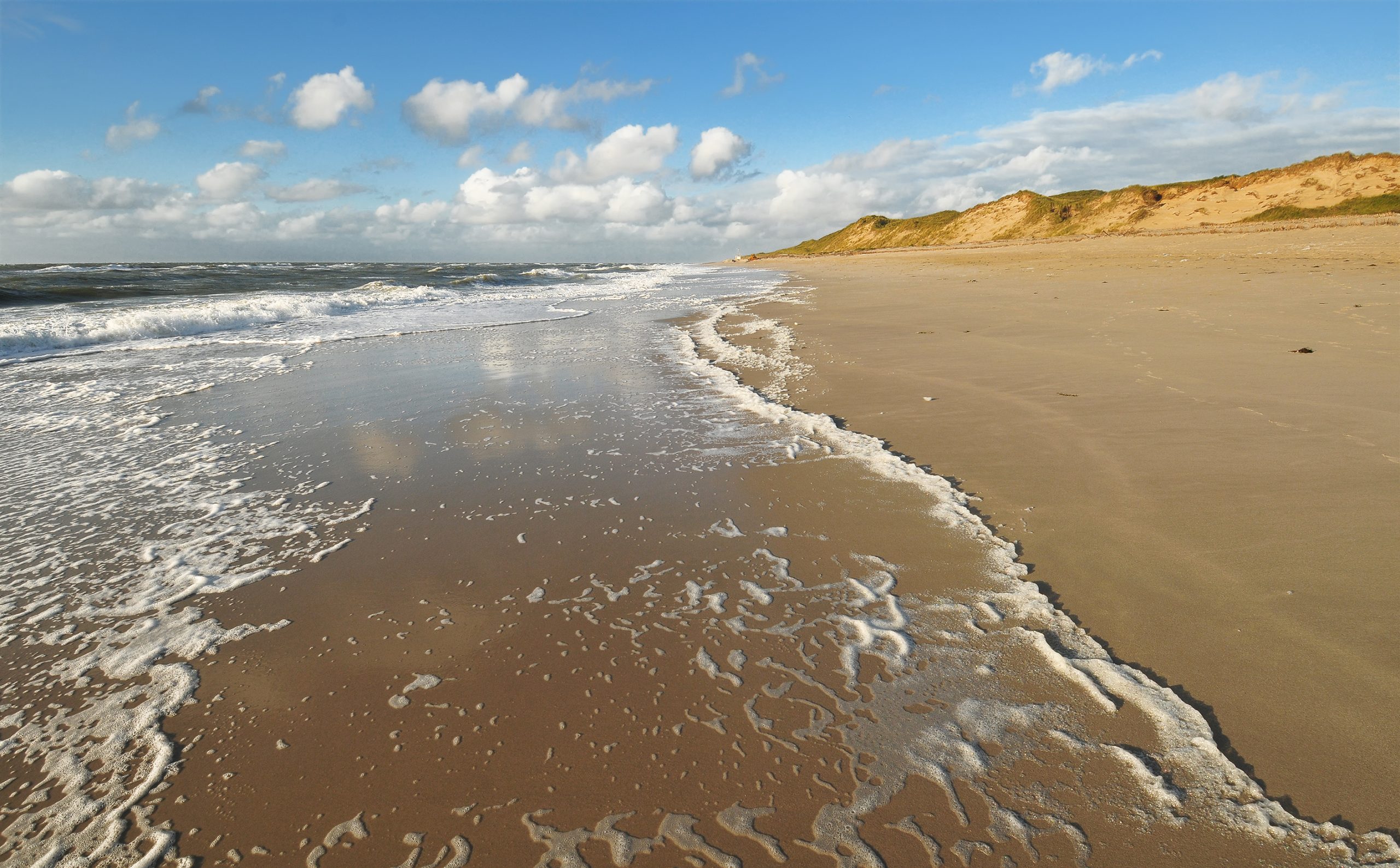 Ellenbogen - Expats Travel Together!