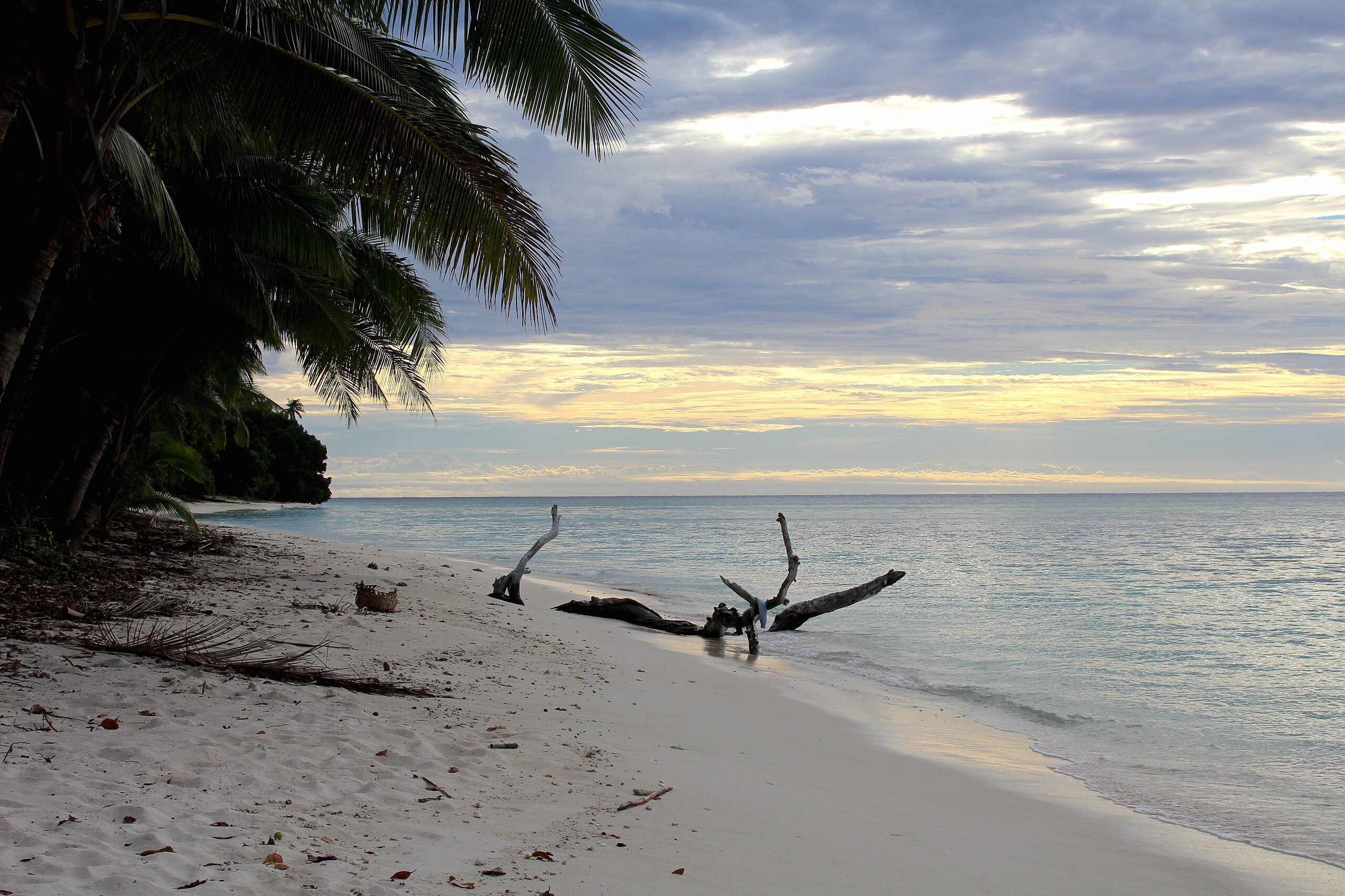 Alofi Island - Expats Travel Together!